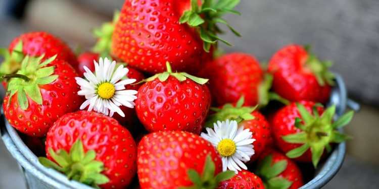 Manfaat Stroberi di Balik Warna Merahnya yang Menggoda